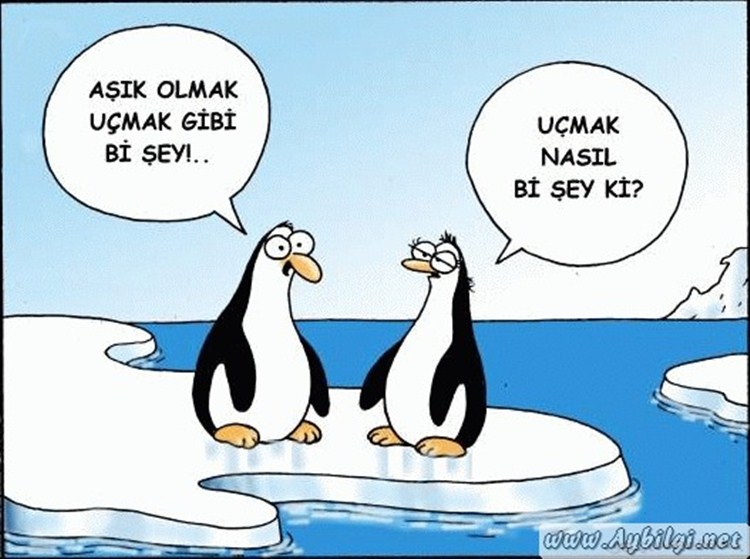 ask-sevgi-karikatur-resimleri-0002 (750 x 559) | DOĞAYA KAÇIŞ
